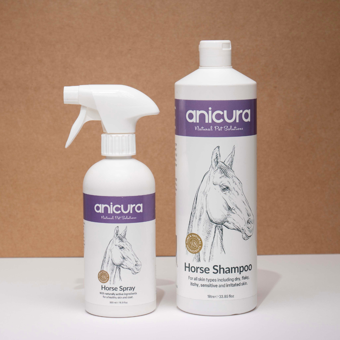Anicura Large Horse Duo – Anicura Natural Pet Solutions