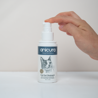 Anicura Cat Gel Ointment for Dry, Irritated Skin – Anicura Natural Pet ...